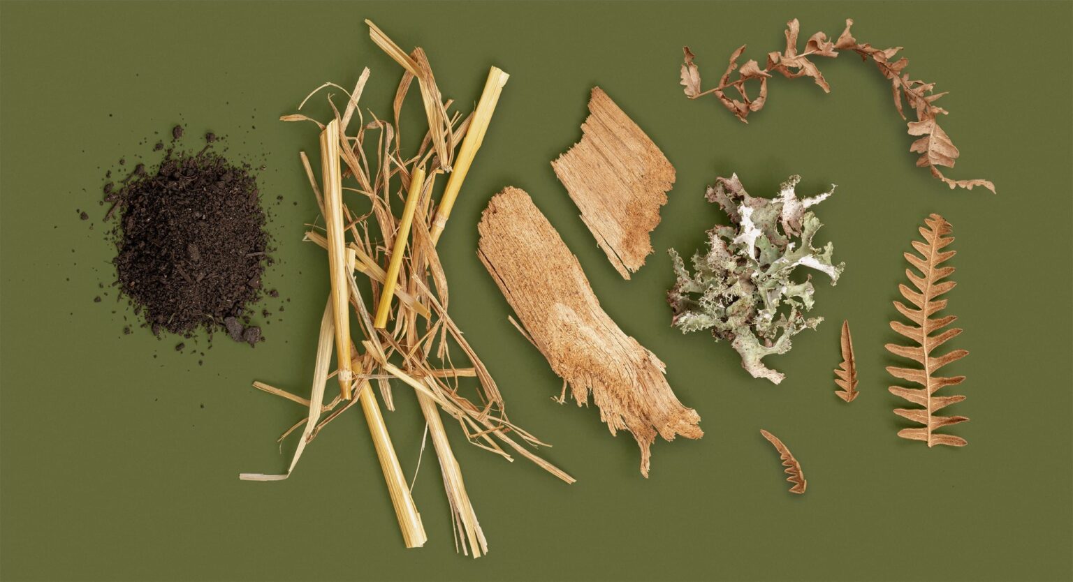 Our Model | Recompose