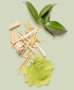 Our Model | Recompose