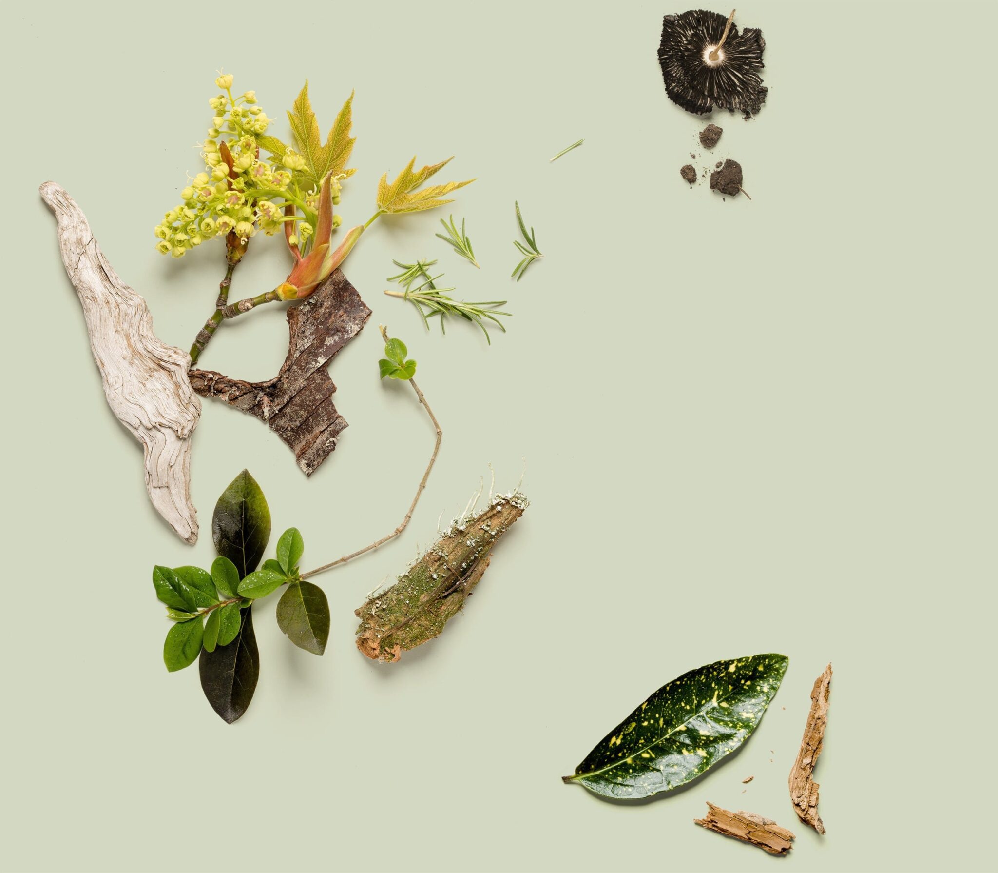 Recompose | Human Composting | Full-Service Funeral Home