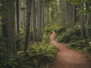 How Human Composting Works | About the Process | Recompose