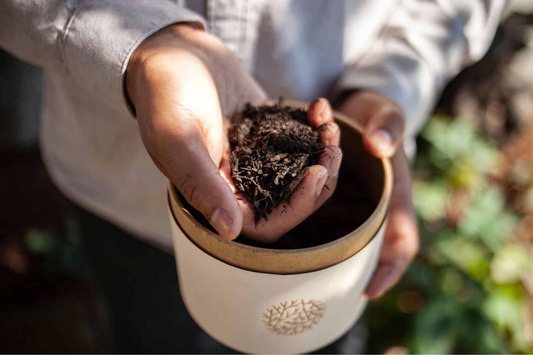 How to Consider Your Soil Options | Recompose
