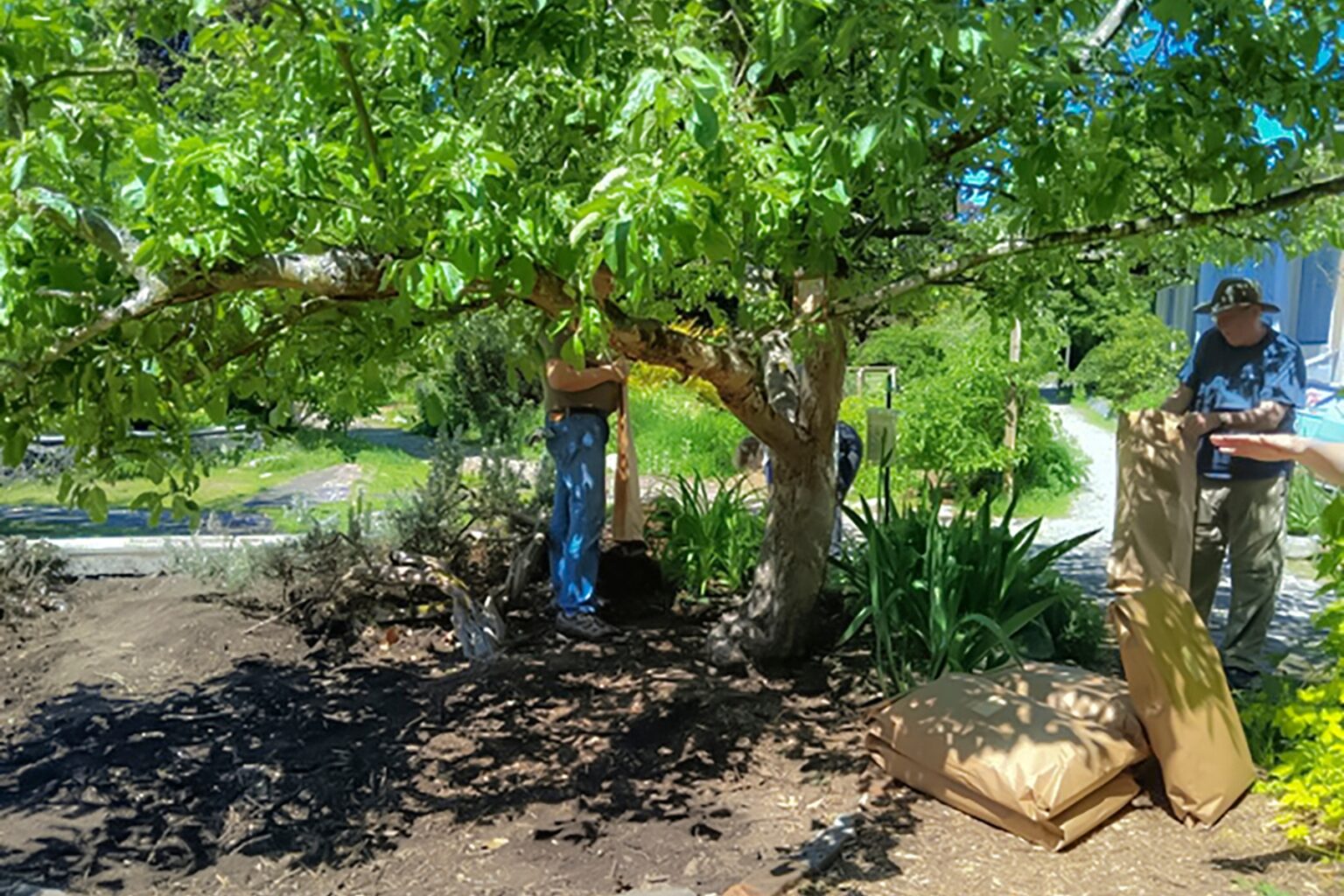 "From Earth to Earth" | Sonia's Soil Story | Recompose