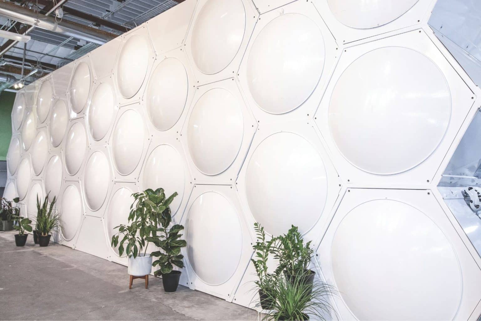 What is the difference between terramation and human composting ...