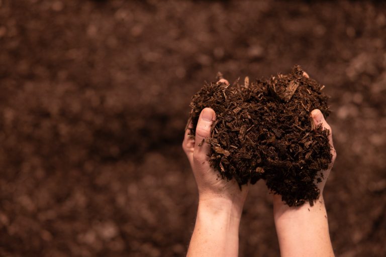 Where is Human Composting Legal? | Recompose